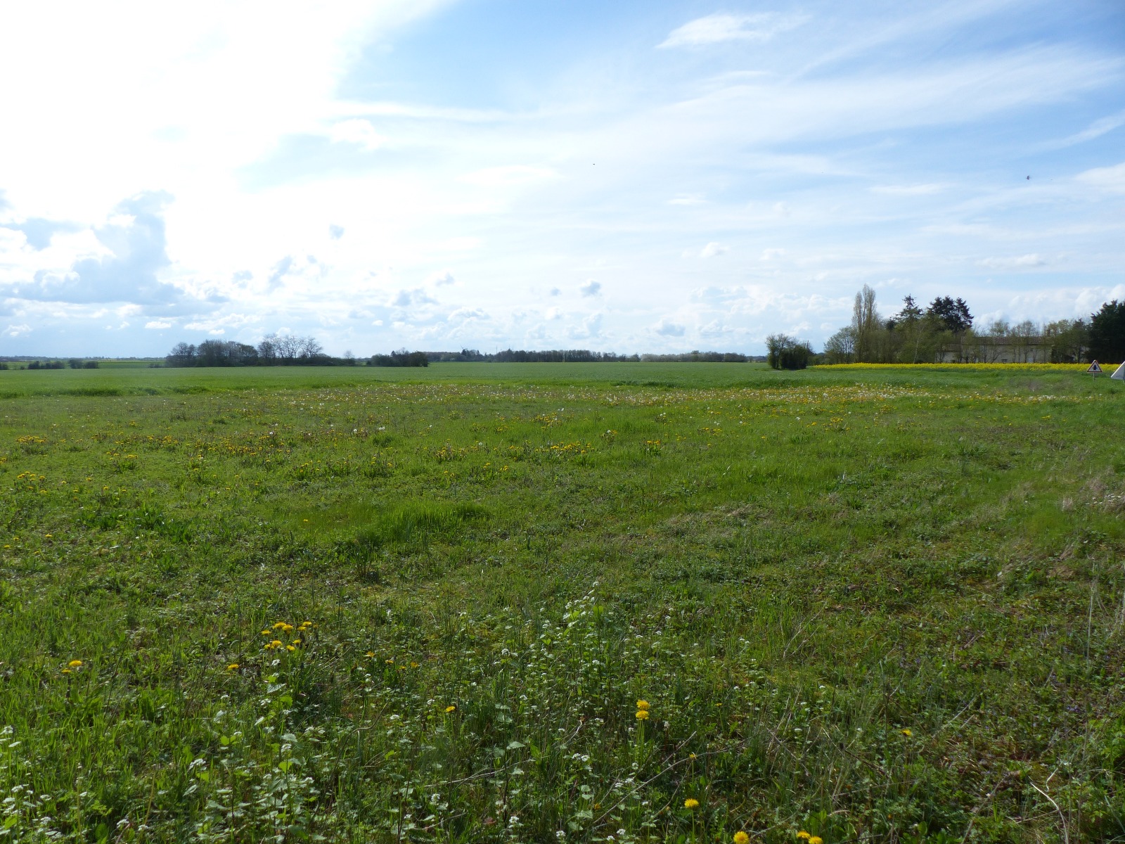 vente Terrain plat viabilisé constructible